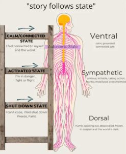 Polyvagal Theory | Brisbane Counselling Centre